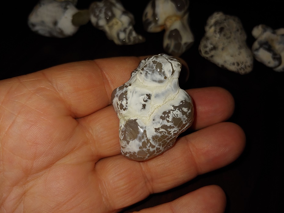 Snakeskin Agate - Tom Jacobs