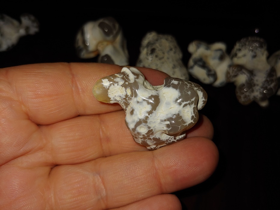 Snakeskin Agate - Tom Jacobs