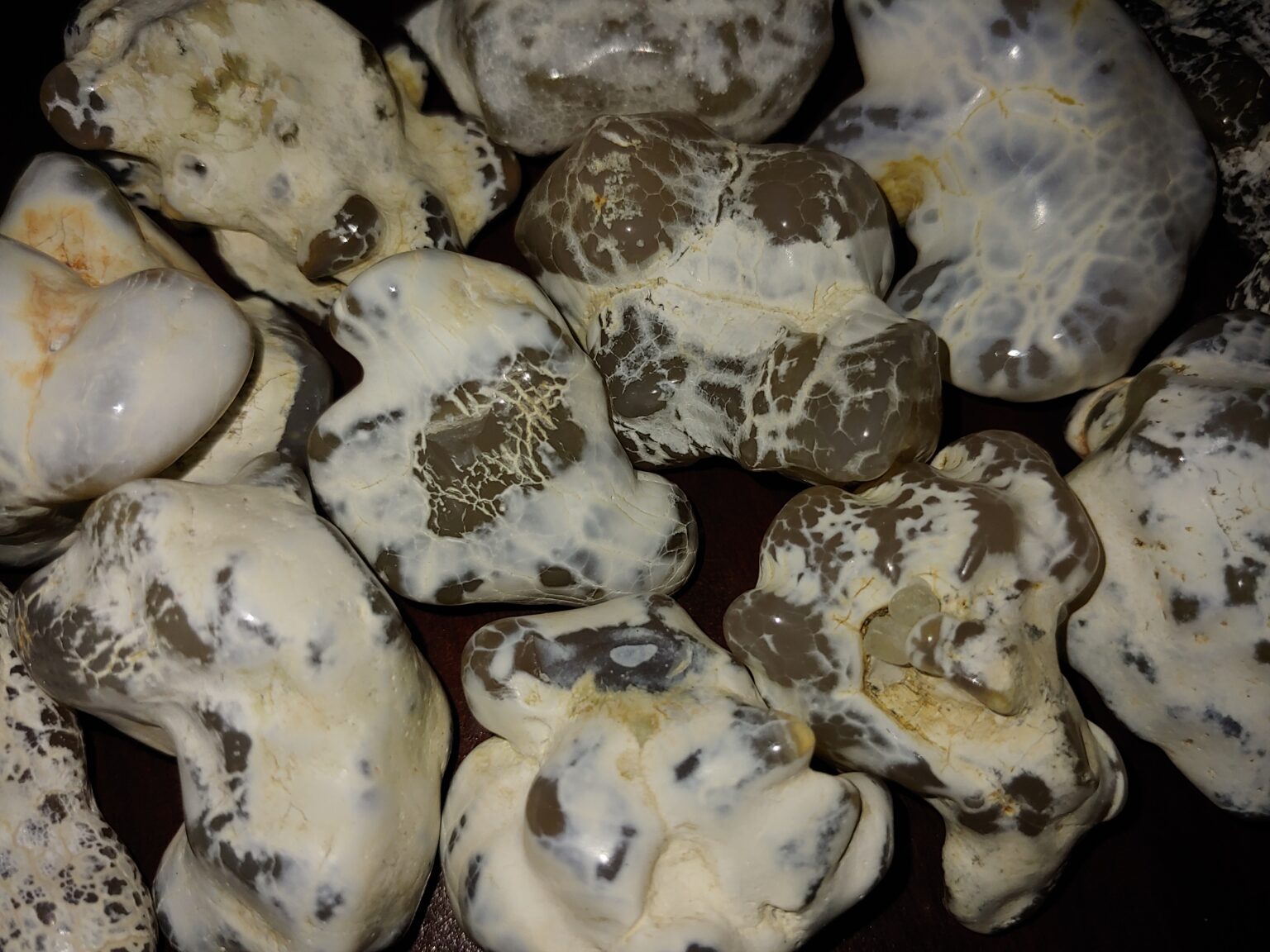 Snakeskin Agate - Tom Jacobs