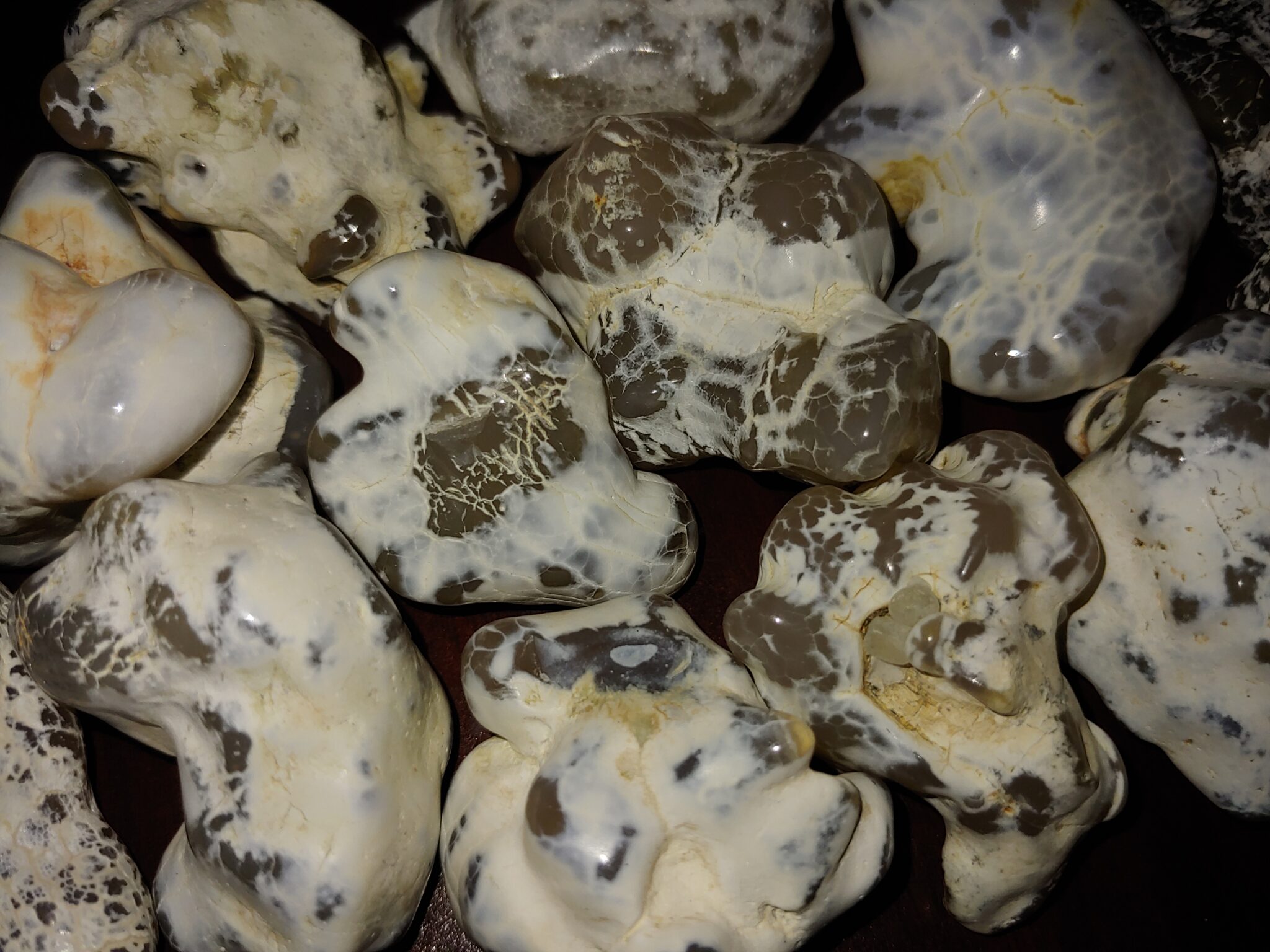 Snakeskin Agate - Tom Jacobs